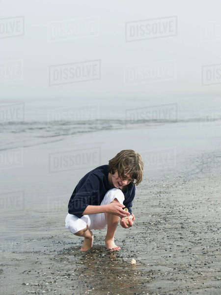 Girl finding seashells on beach - Stock Photo - Dissolve
