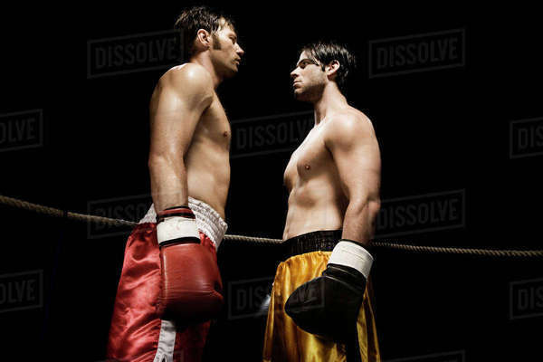 Boxers facing off in boxing ring - Stock Photo - Dissolve
