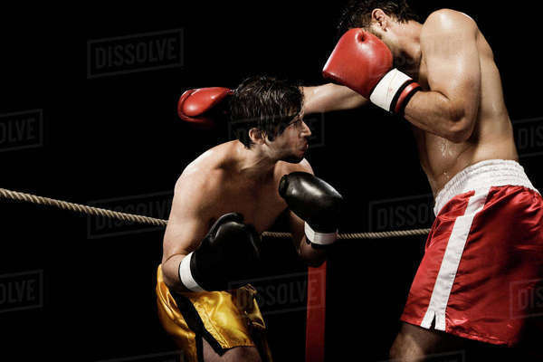 Boxers fighting in boxing ring - Stock Photo - Dissolve