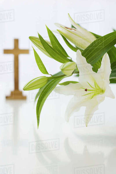 Close up of flowers with cross in background - Stock Photo - Dissolve