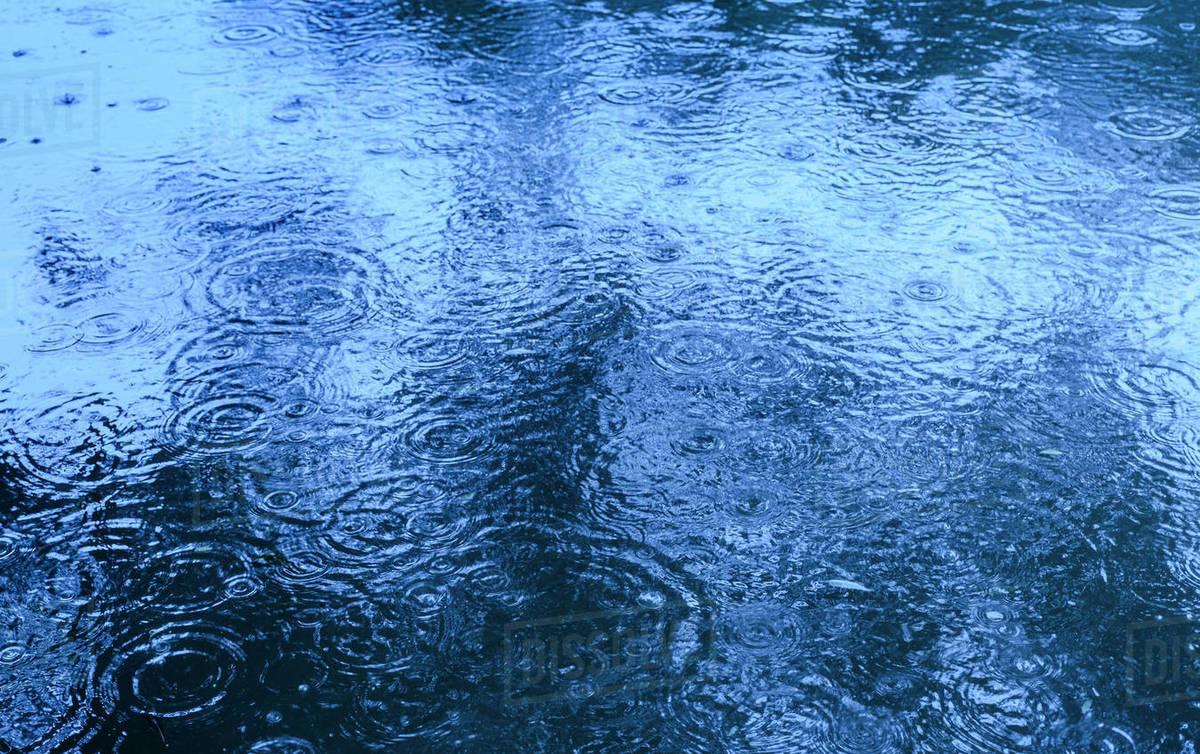 Rippled pond on rainy day - Royalty-free Stock Photo | Dissolve