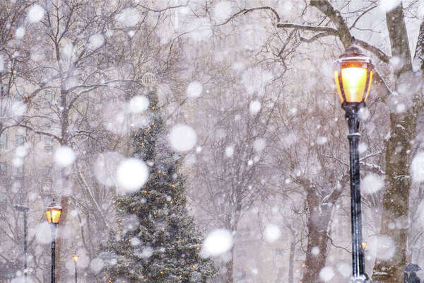 USA, New York State, New York City, Madison Square Park in snow ...