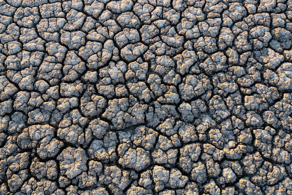 Overhead view of cracked desert - Royalty-free Stock Photo | Dissolve