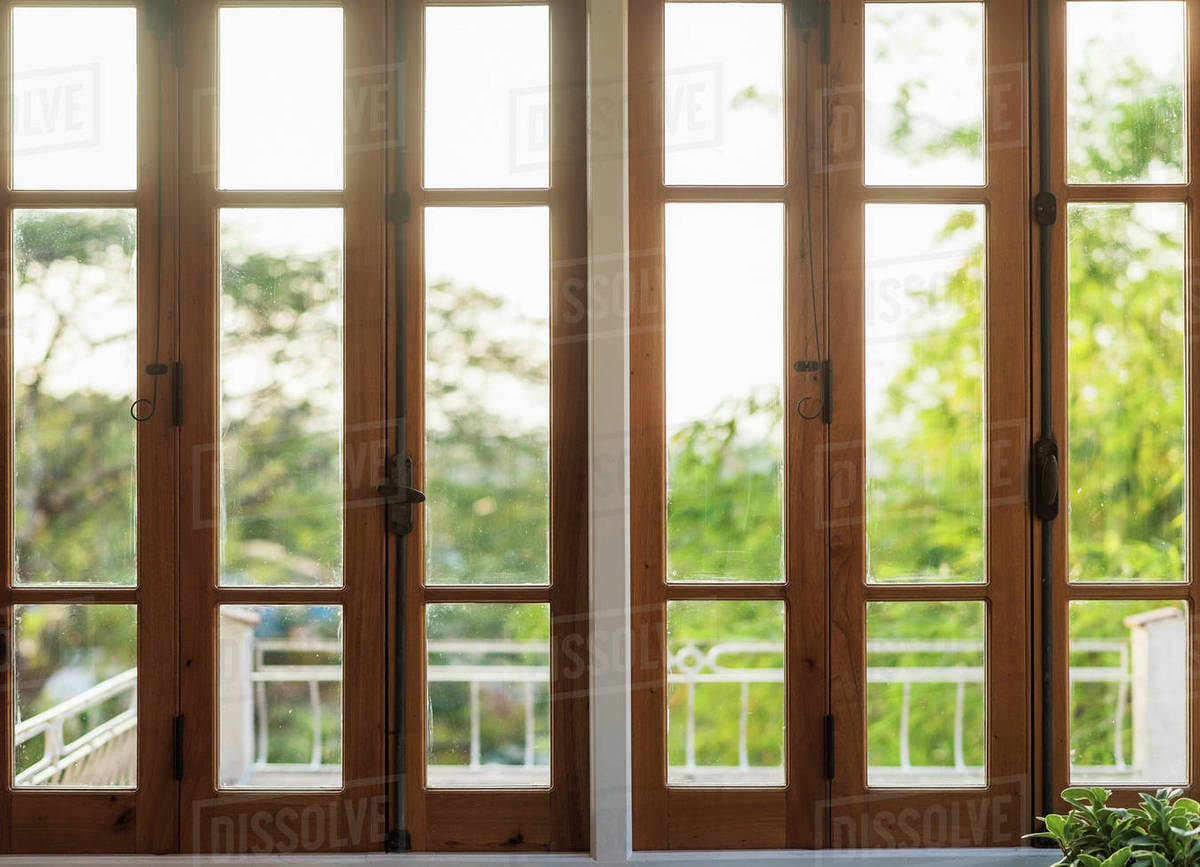 Trees seen through window - Stock Photo - Dissolve