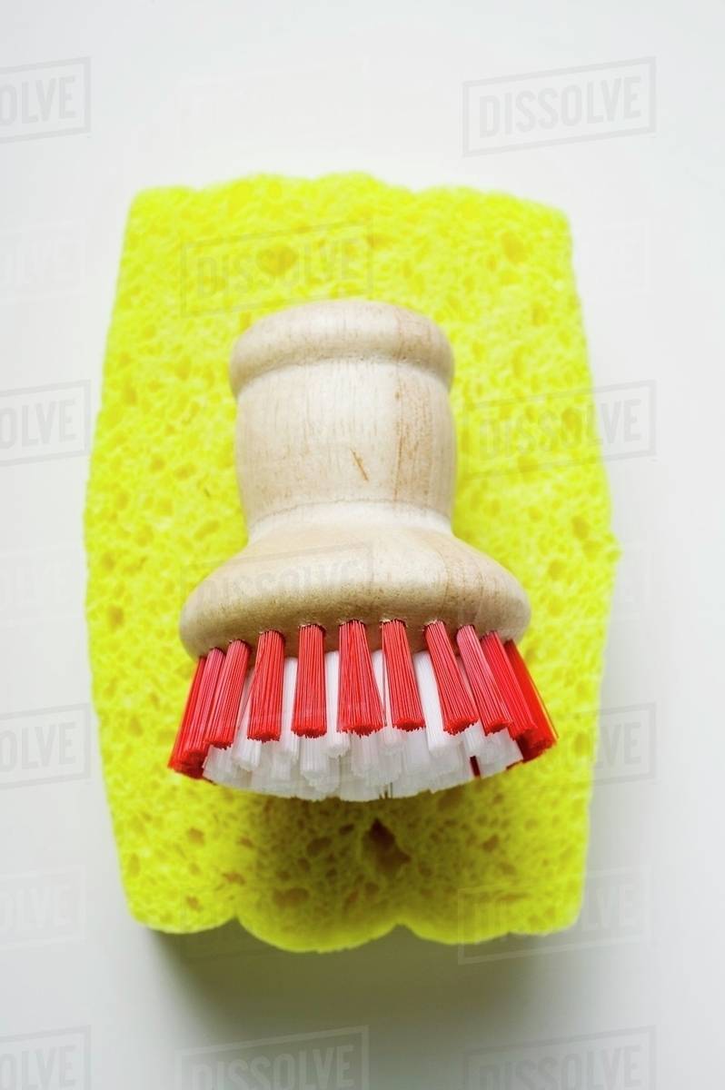 Sponge and brush - Royalty-free Stock Photo | Dissolve