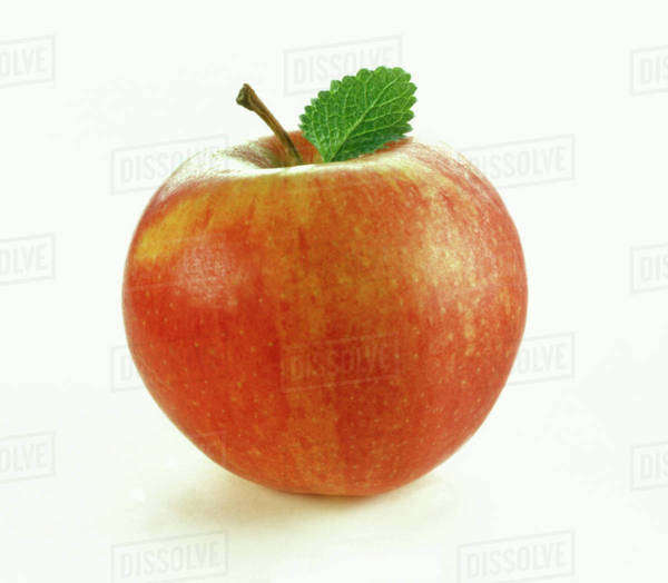 A 'Gala' apple - Royalty-free Stock Photo | Dissolve