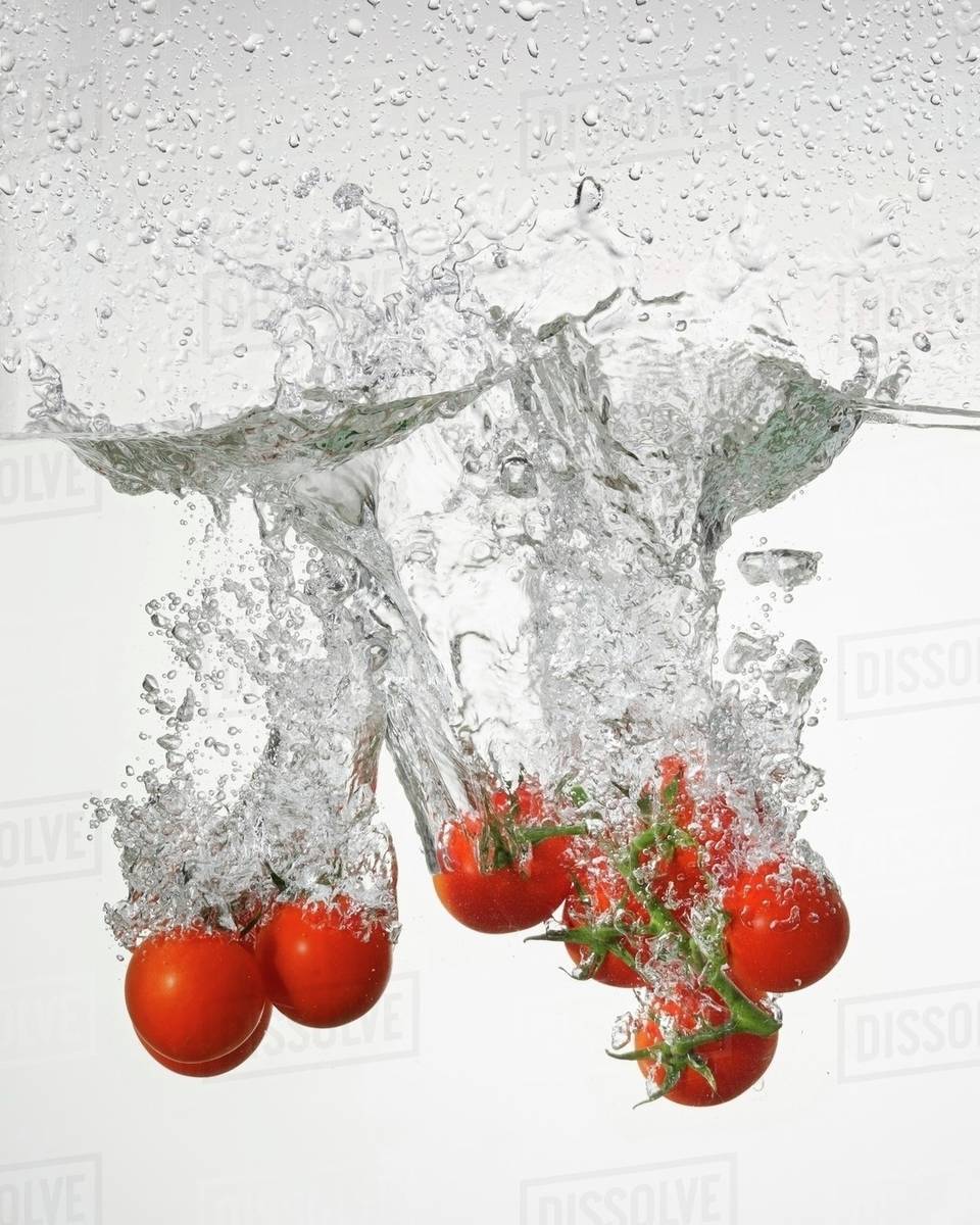 Tomatoes falling into water - Royalty-free Stock Photo | Dissolve