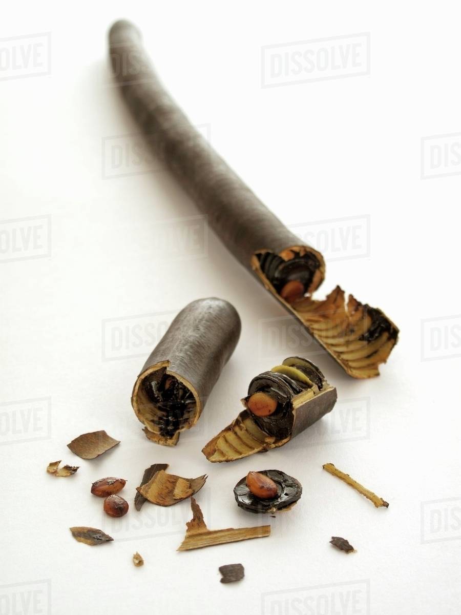 A pudding pipe - Royalty-free Stock Photo | Dissolve