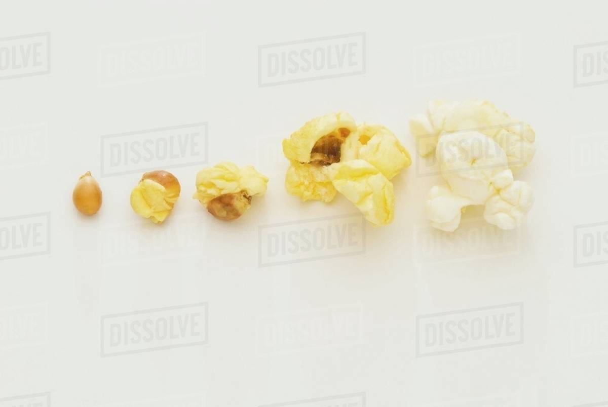 Popcorn Series from Kernel to Fully Popped - Royalty-free Stock Photo ...