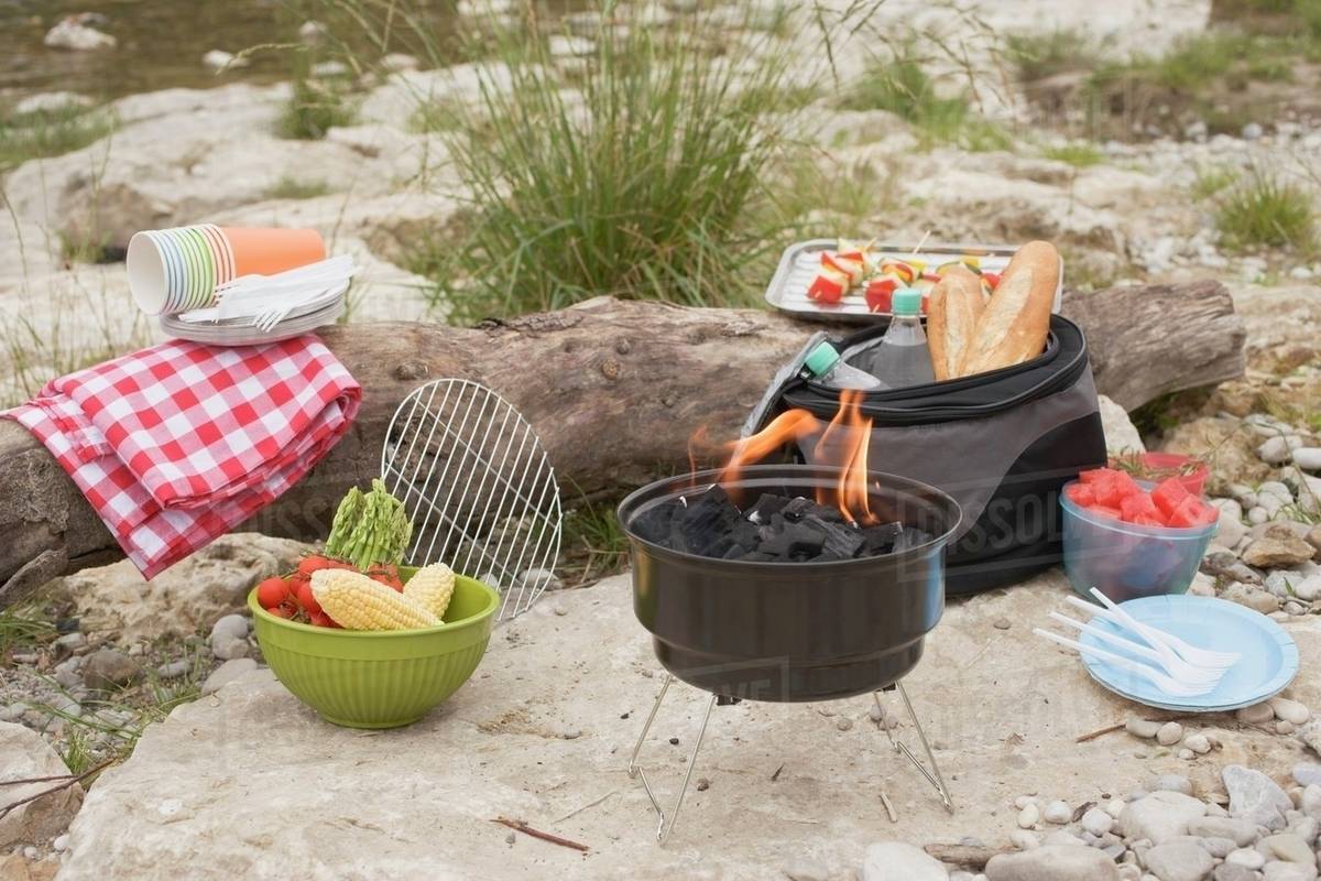 Barbecue on a river bank - Stock Photo - Dissolve