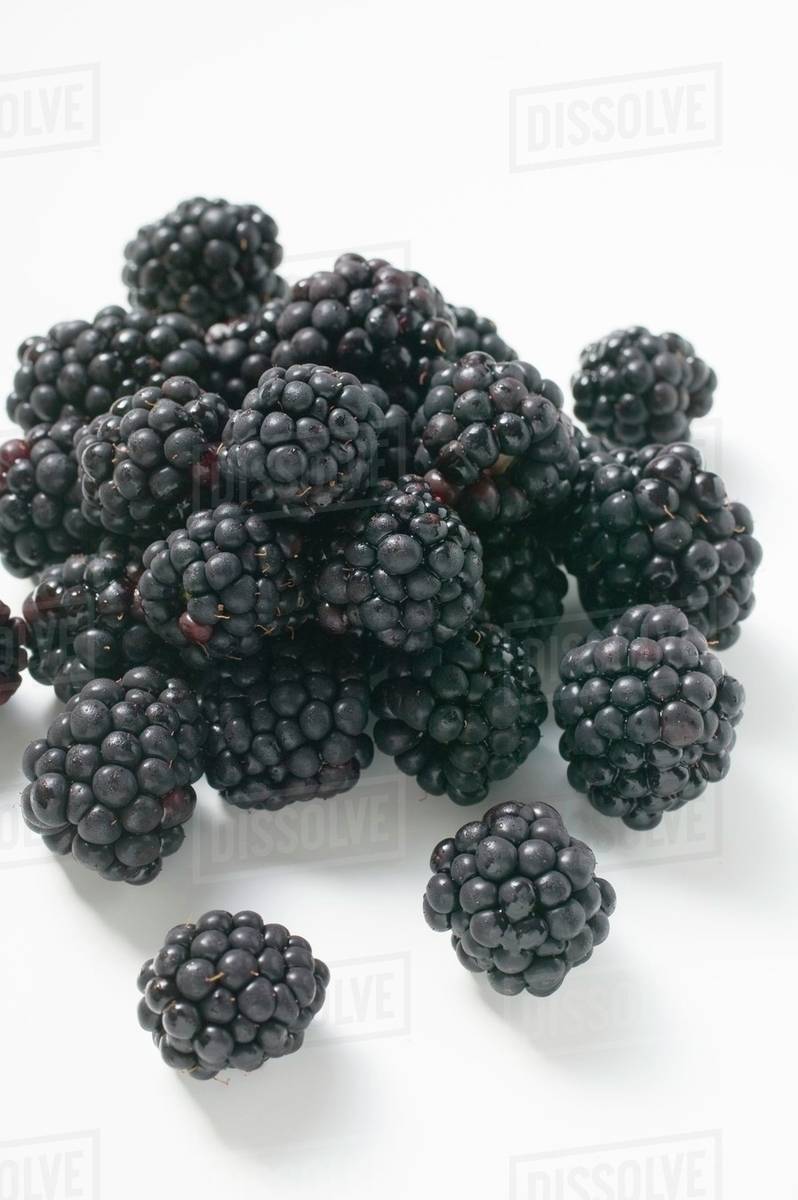 Fresh blackberries - Royalty-free Stock Photo | Dissolve