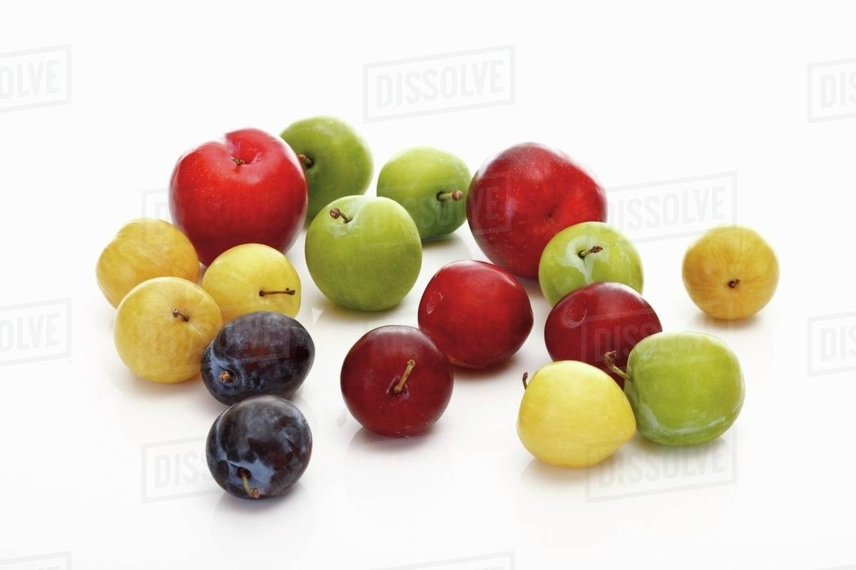 Red and yellow plums, damsons and greengages - Royalty-free Stock Photo ...