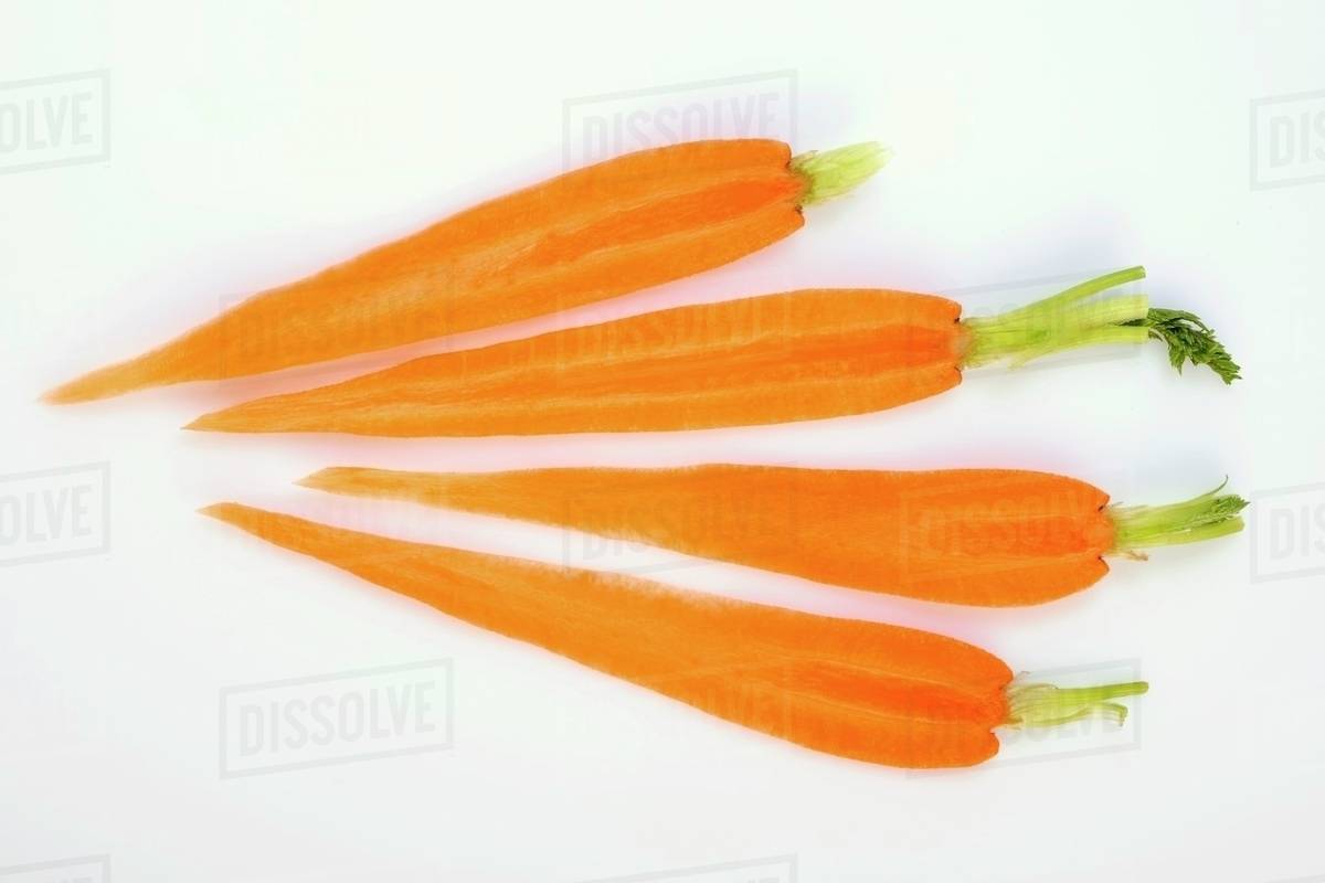 Four slices of carrot with tops - Royalty-free Stock Photo | Dissolve