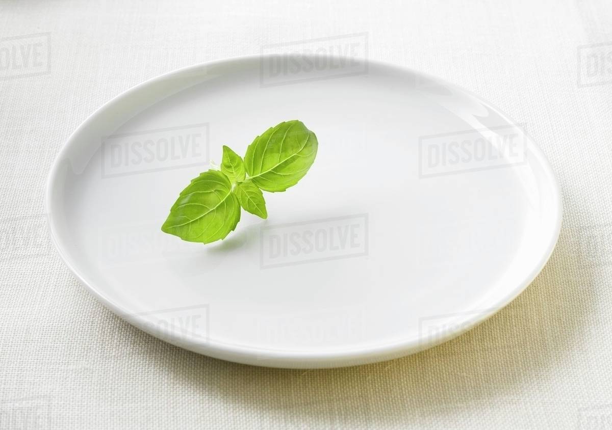 Basil leaves on a plate - Royalty-free Stock Photo | Dissolve