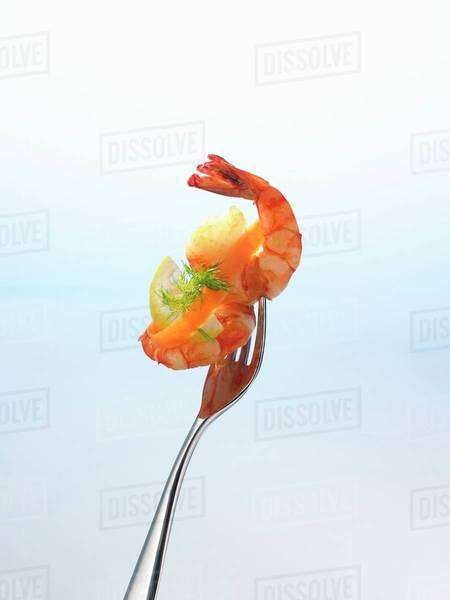 Two prawns on a fork - Stock Photo - Dissolve