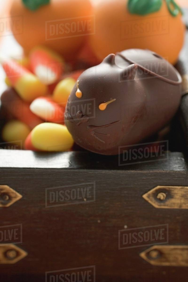 Assorted sweets for Halloween in treasure chest - Stock Photo - Dissolve