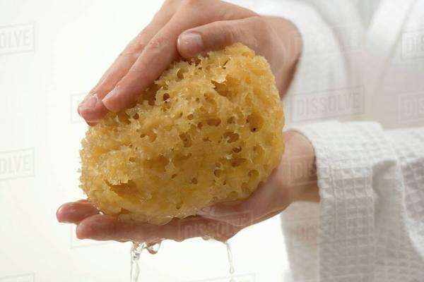 Hands squeezing out wet bath sponge - Stock Photo - Dissolve