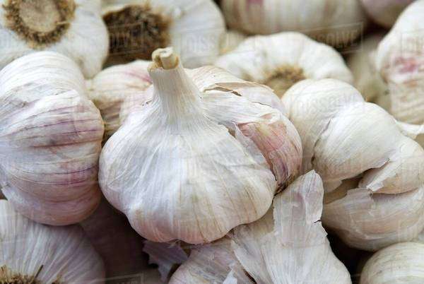 Many Fresh Garlic Bulbs - Royalty-free Stock Photo | Dissolve
