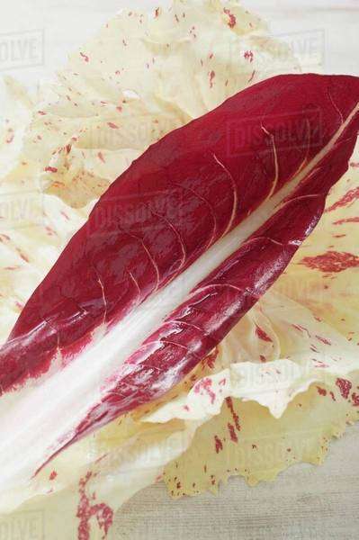 Two types of radicchio leaves - Royalty-free Stock Photo | Dissolve