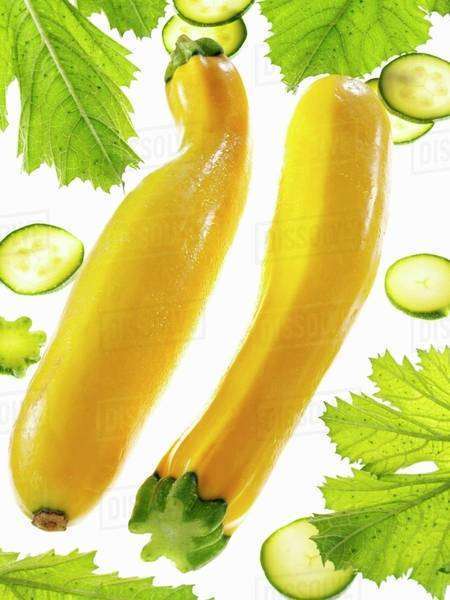 Yellow courgettes, courgette slices and leaves - Royalty-free Stock ...