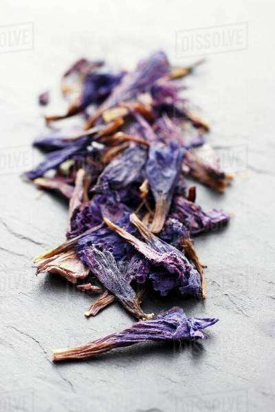 Dried borage flowers on a slate surface - Royalty-free Stock Photo ...