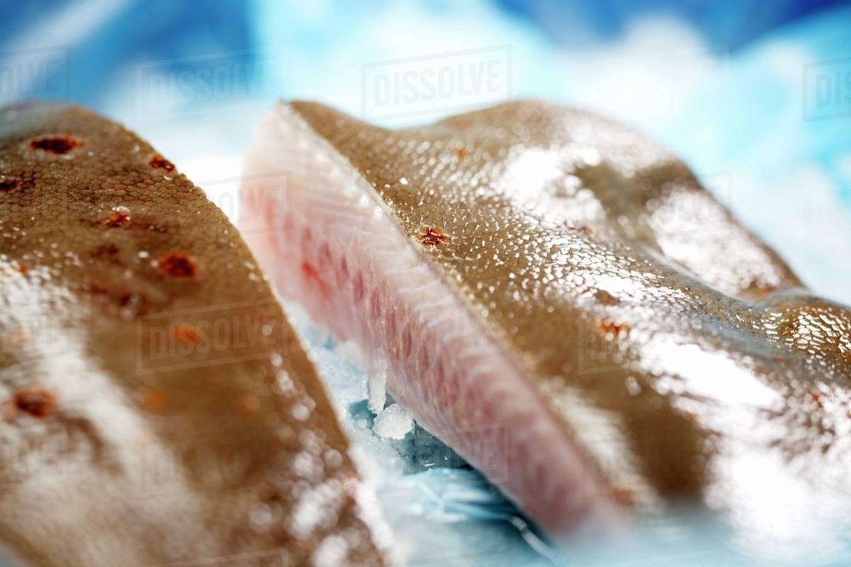 Fresh plaice in a container with ice - Royalty-free Stock Photo | Dissolve