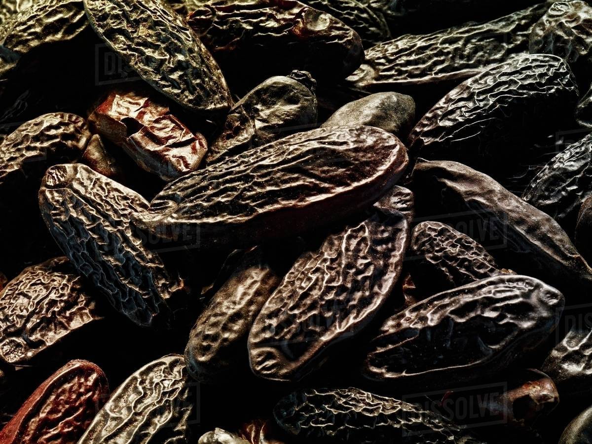 Tonka beans - Royalty-free Stock Photo | Dissolve