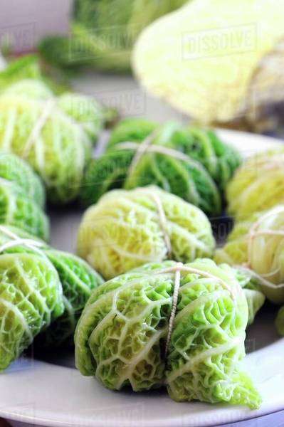 Savoy cabbage parcels (raw) - Royalty-free Stock Photo | Dissolve