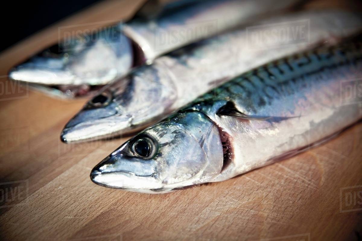 Three freshly caught mackerel on a wooden board - Royalty-free Stock ...