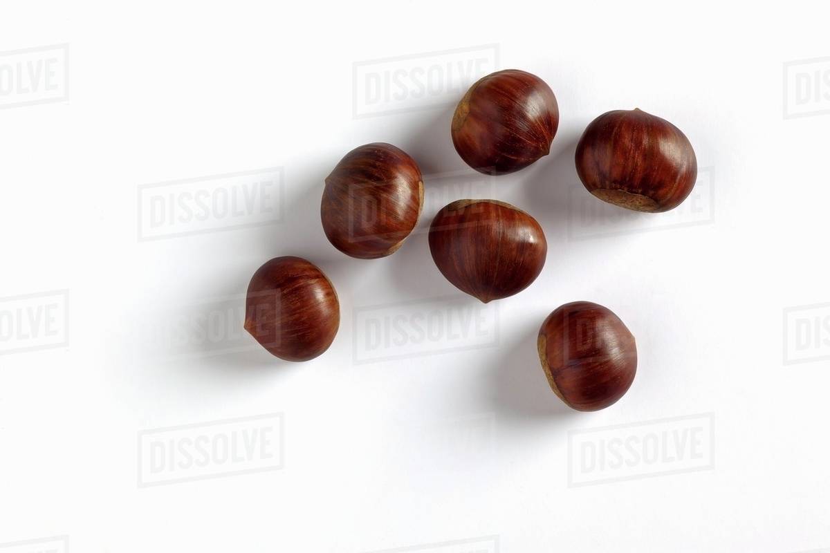 Six chestnuts - Stock Photo - Dissolve