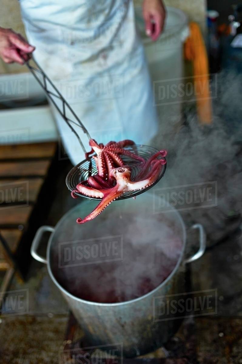 Boiled octopus - Royalty-free Stock Photo | Dissolve