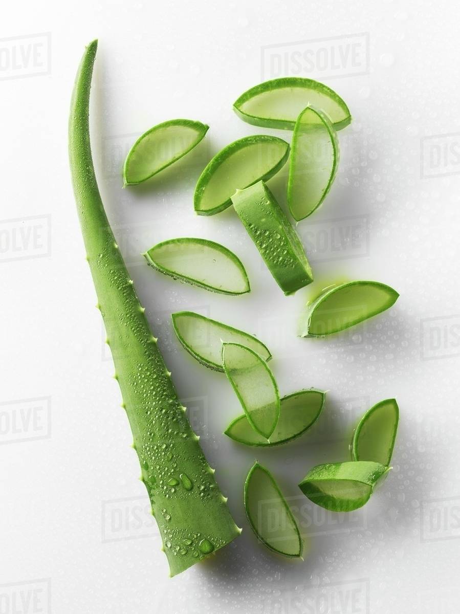 Aloe vera, a shoot and slices - Royalty-free Stock Photo | Dissolve