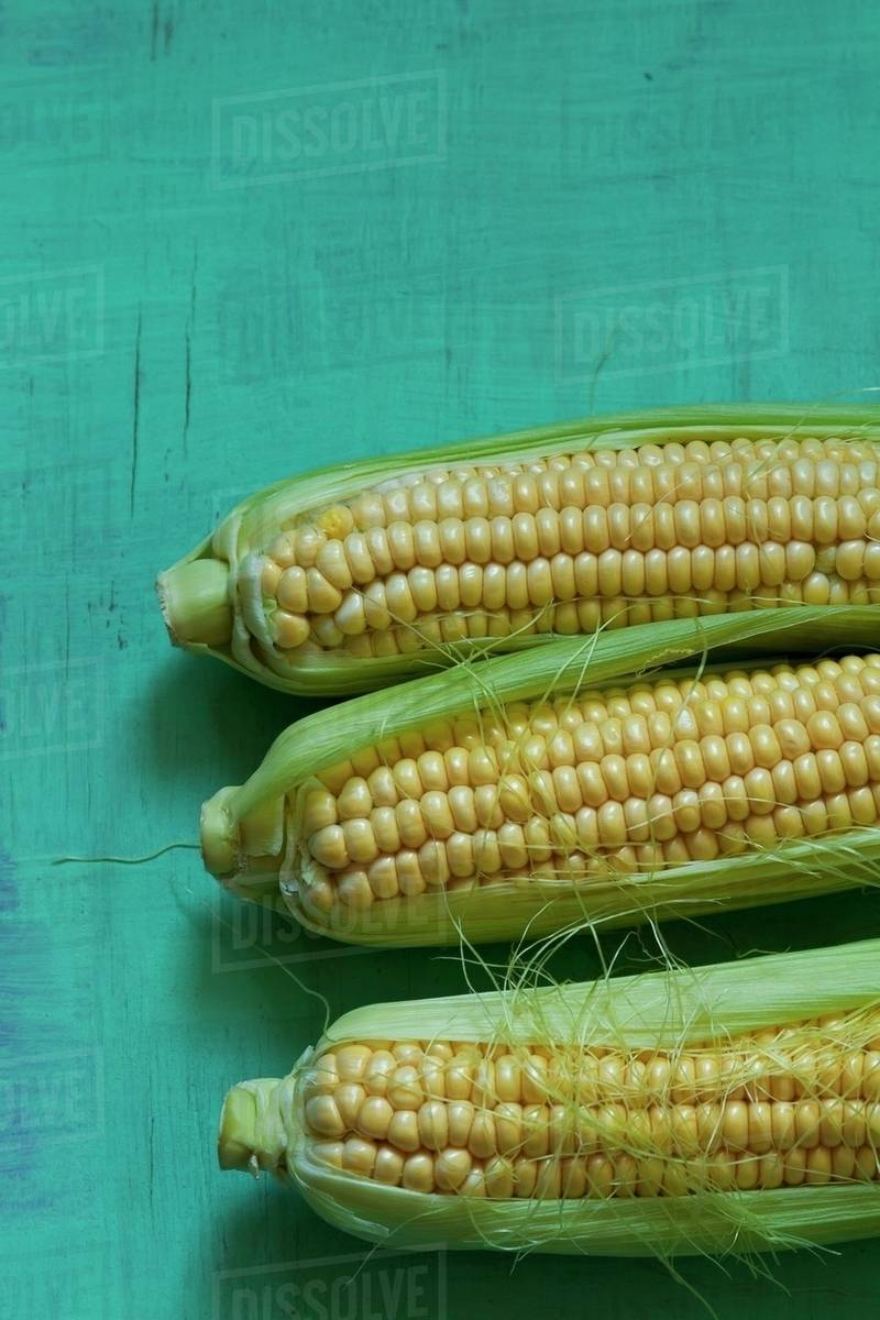 Three corn cobs (seen above) - Royalty-free Stock Photo | Dissolve