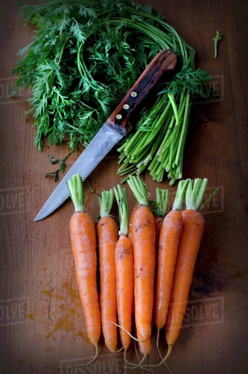 A bundle of carrots with the green leaves cut off - Stock Photo - Dissolve