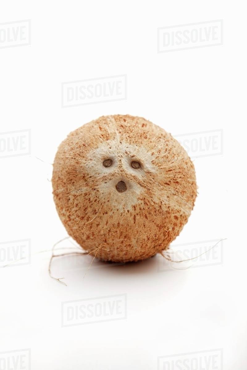 Coconut Face - Royalty-free Stock Photo | Dissolve