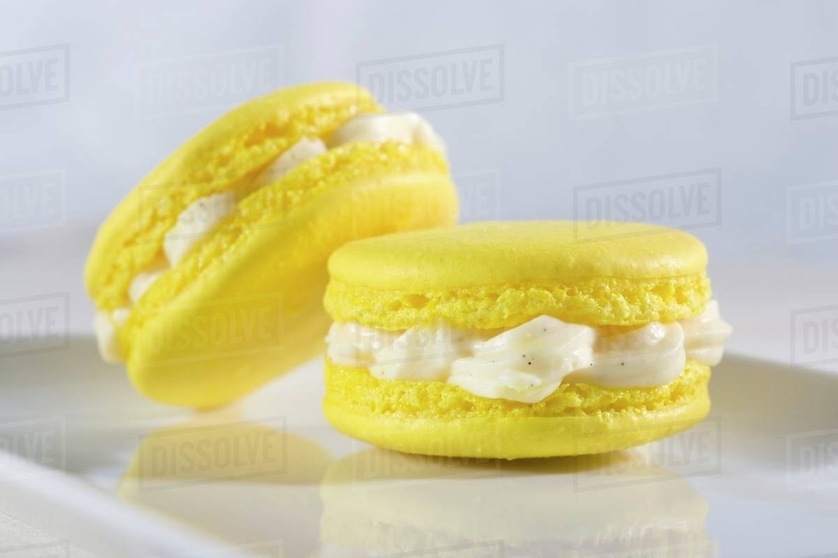 Two macaroons with vanilla cream - Stock Photo - Dissolve