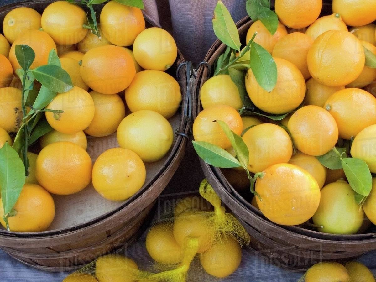 Baskets of lemons - Royalty-free Stock Photo | Dissolve