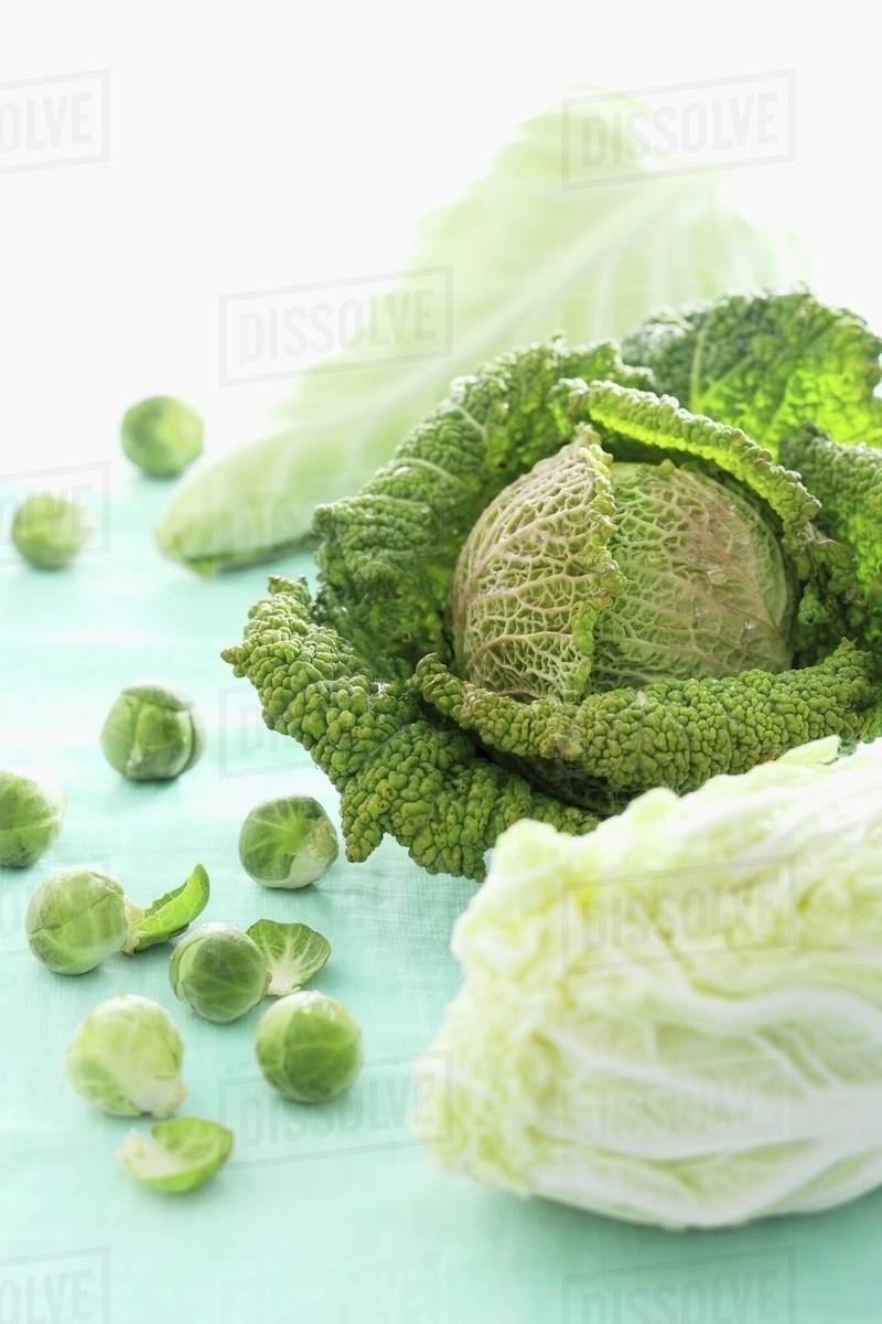 Assorted cabbages - Royalty-free Stock Photo | Dissolve