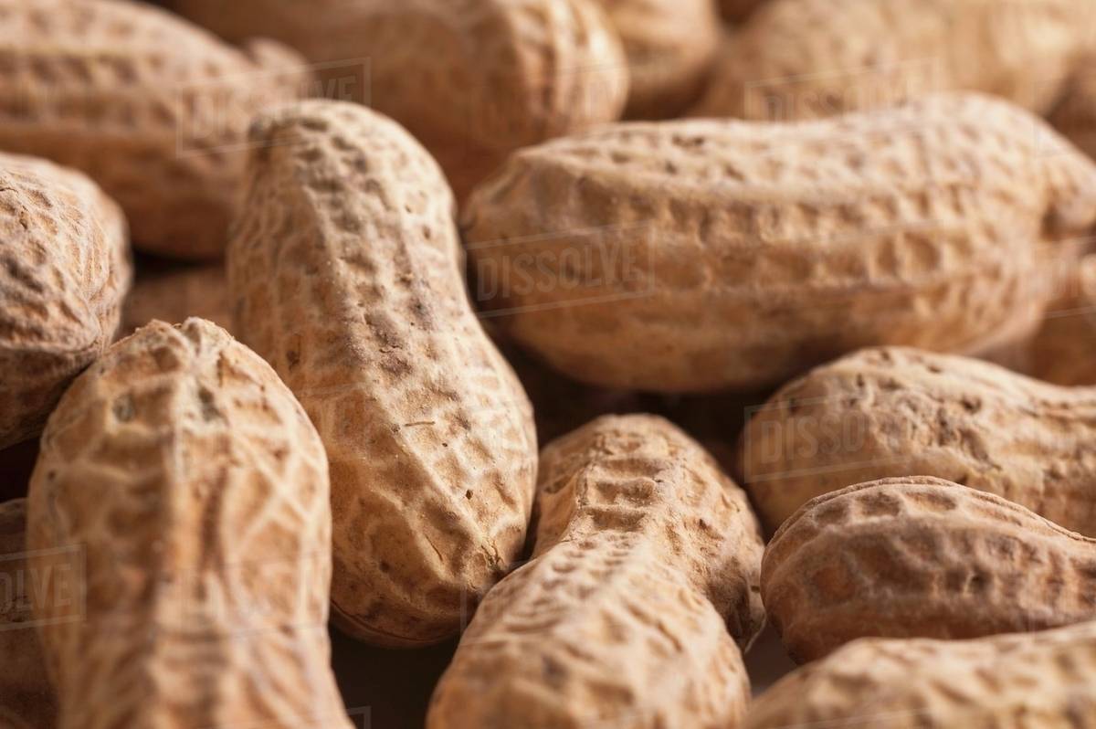 Peanuts (close-up) - Stock Photo - Dissolve