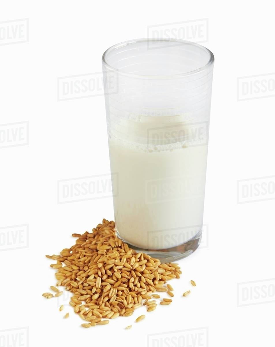 Grain milk with grains - Stock Photo - Dissolve