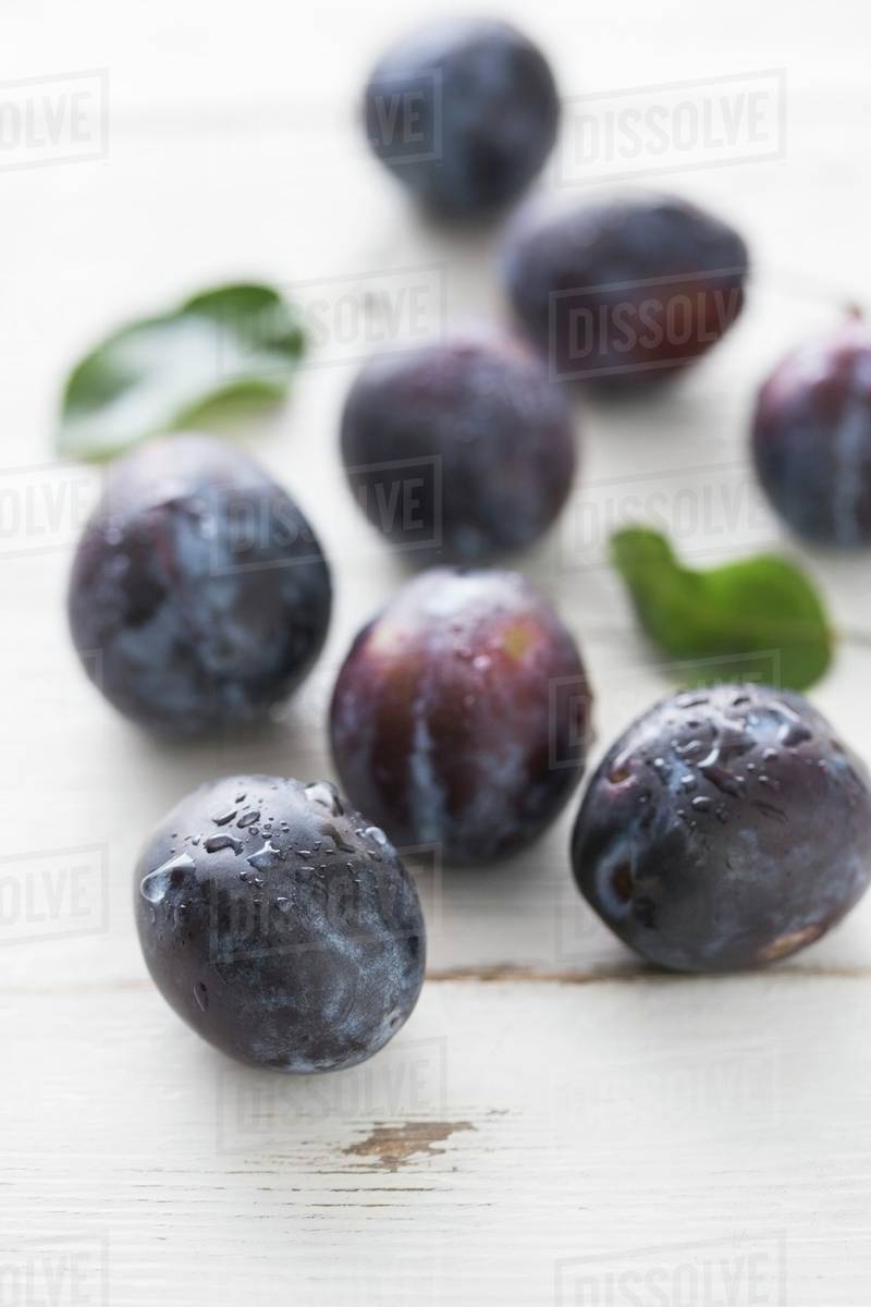 Fresh damsons - Royalty-free Stock Photo | Dissolve