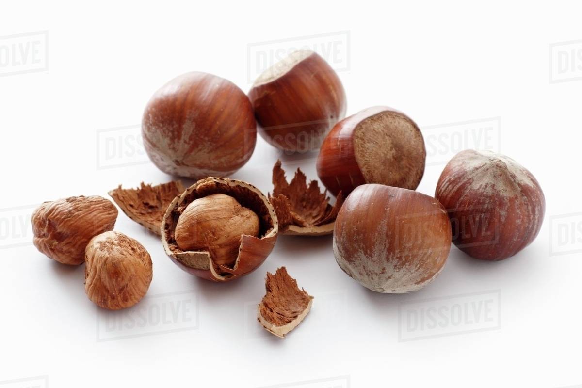 A number of whole hazelnuts and hazelnut shells - Royalty-free Stock ...
