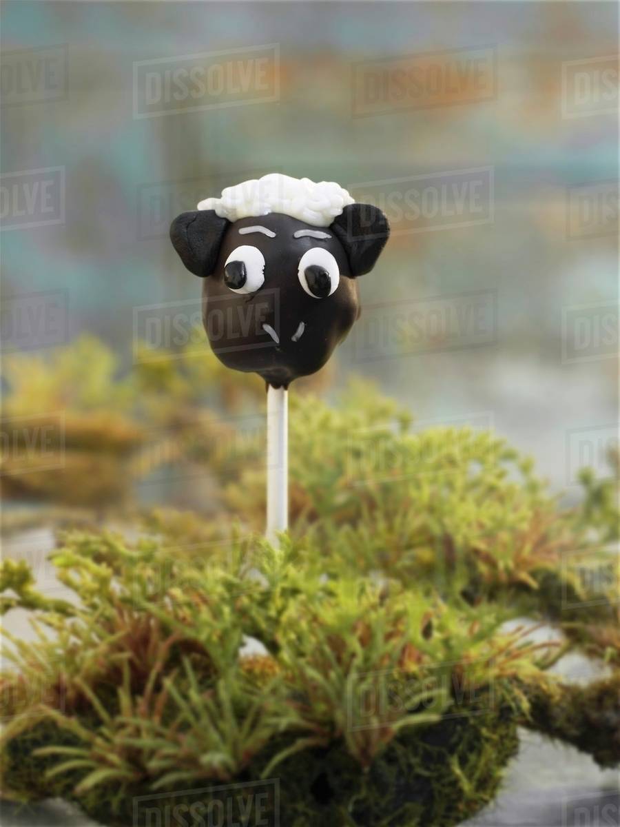 A cake pop (a chocolate sheep) - Royalty-free Stock Photo | Dissolve