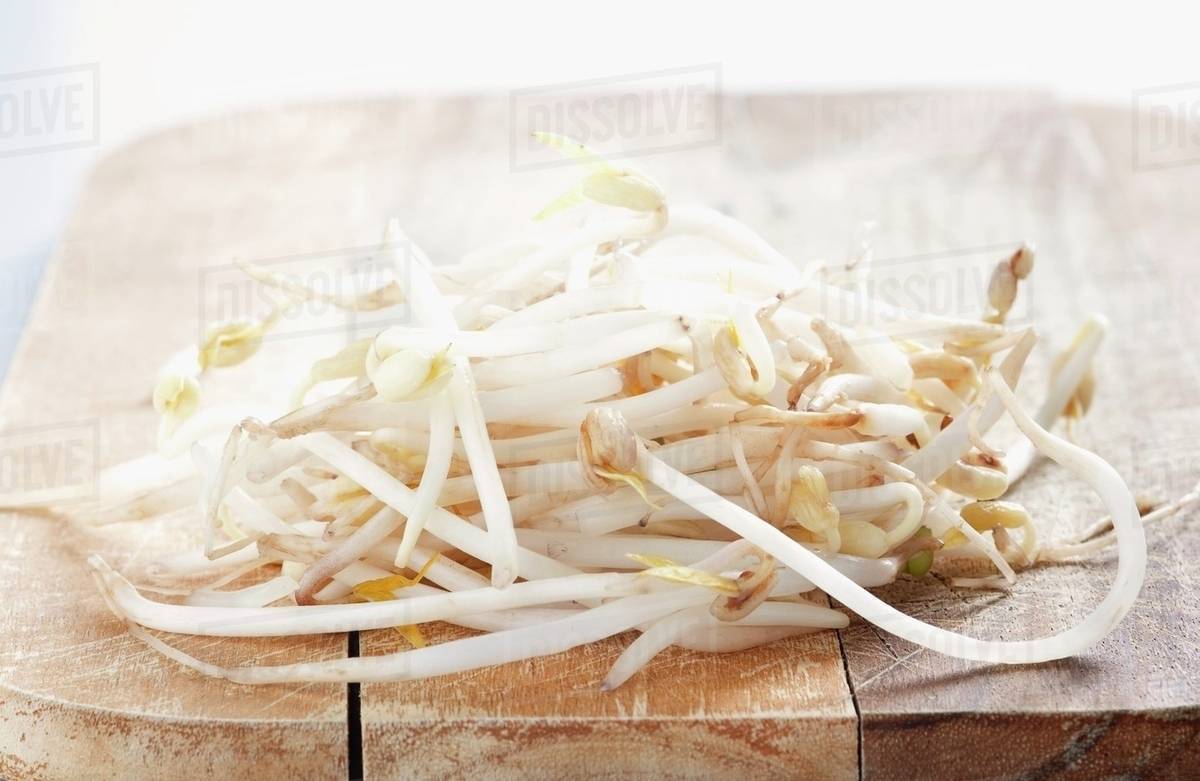 Soya bean sprouts on a wooden board - Royalty-free Stock Photo | Dissolve
