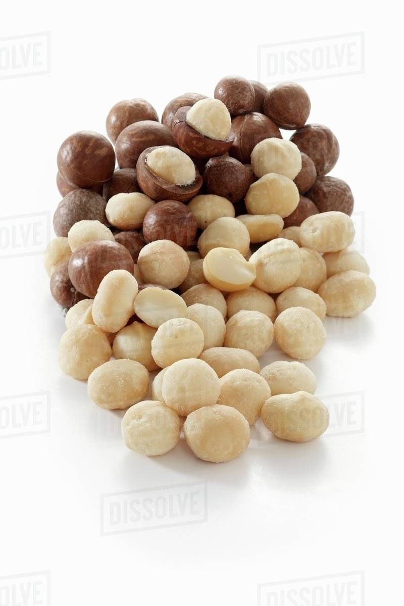 Macadamia nuts, with and without shells - Royalty-free Stock Photo ...
