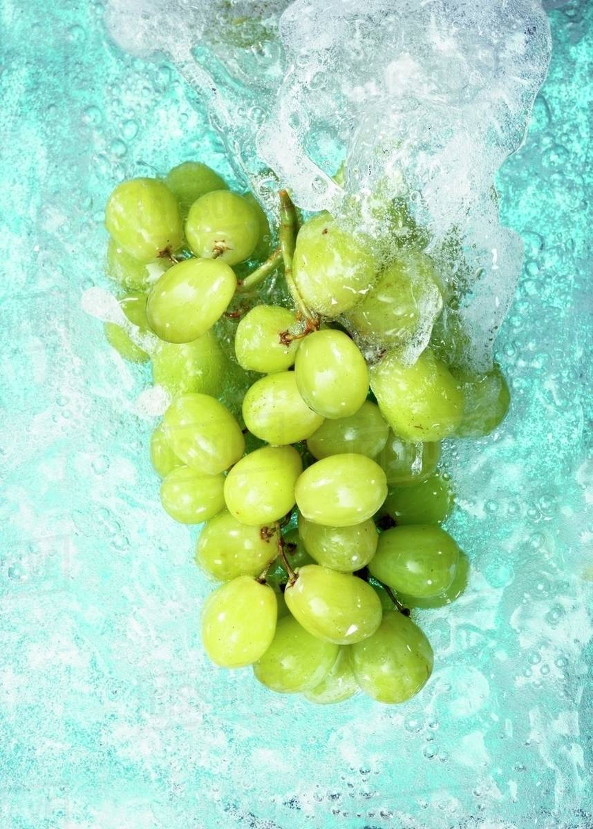 Green grapes in water - Stock Photo - Dissolve