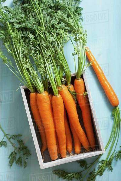 Fresh carrots in a box - Royalty-free Stock Photo | Dissolve