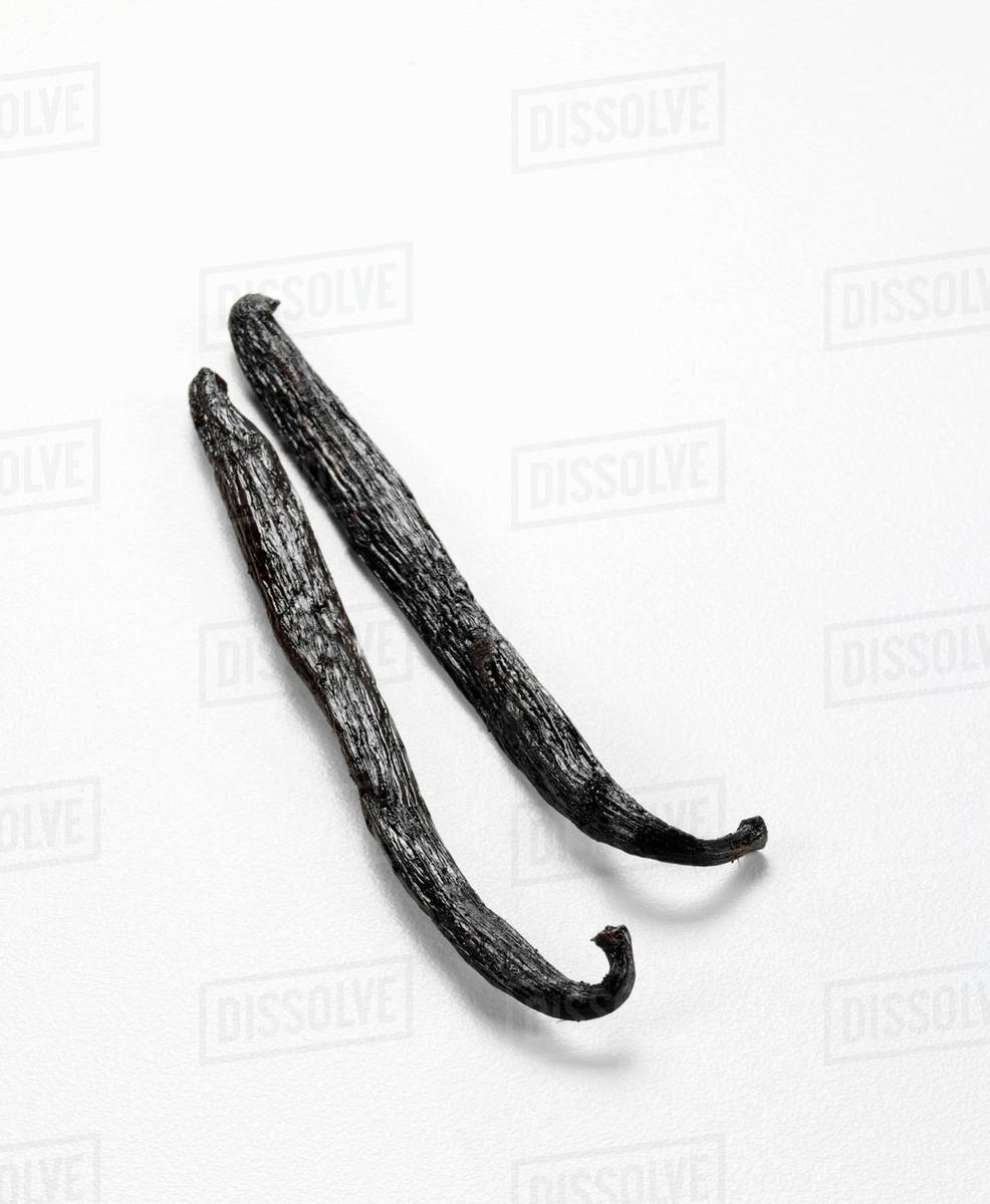Two vanilla pods against a white background - Royalty-free Stock Photo ...