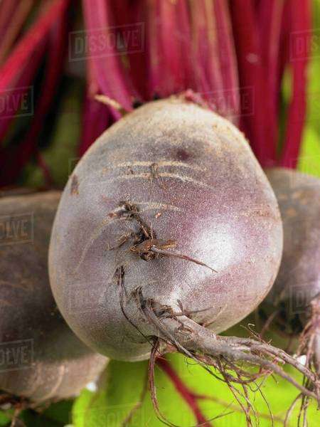 A beetroot (close-up) - Stock Photo - Dissolve