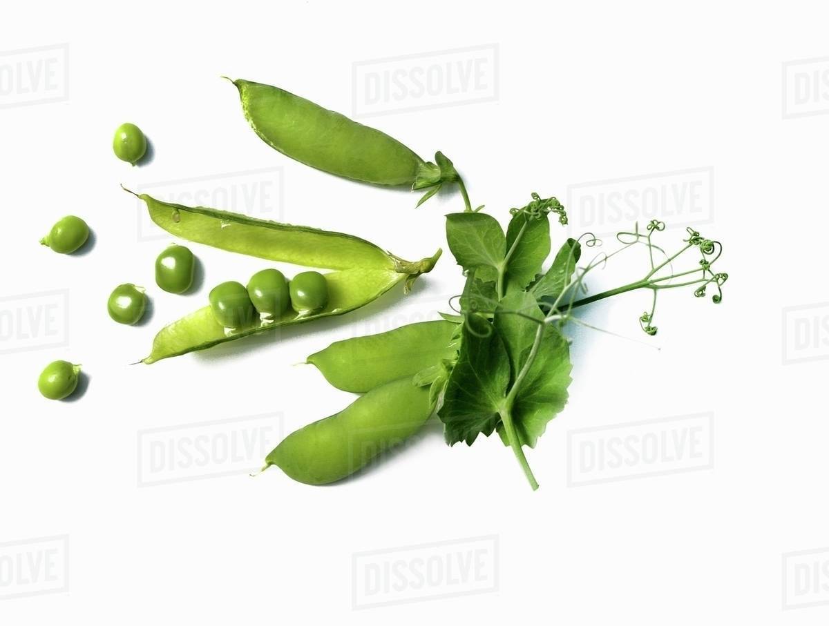 Opened pea pod - Royalty-free Stock Photo | Dissolve